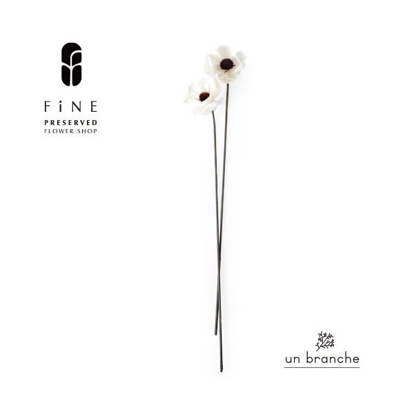 ナチュラルな色合いと質感を自在に楽しむ、ドライとプリザFiNEの花材やさん「un branche（アンブランシュ）」。シンプルインテリアに、ホワイトインテリア、北欧インテリアにそのまま飾って頂いたり、スワッグやリースなどハンドメイド花材とし...