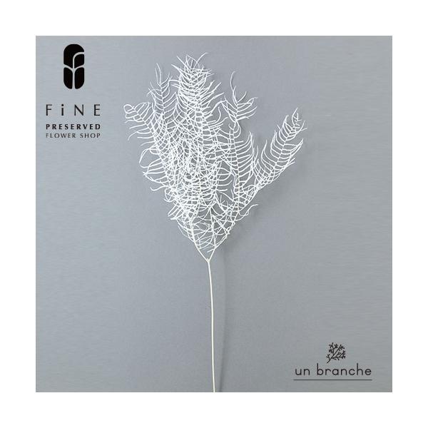 ナチュラルな色合いと質感を自在に楽しむ、ドライとプリザFiNEの花材やさん「un branche（アンブランシュ）」。シンプルインテリアに、ホワイトインテリア、北欧インテリアにそのまま飾って頂いたり、スワッグやリースなどハンドメイド花材とし...