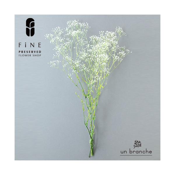 ナチュラルな色合いと質感を自在に楽しむ、ドライとプリザFiNEの花材やさん「un branche（アンブランシュ）」。シンプルインテリアに、ホワイトインテリア、北欧インテリアにそのまま飾って頂いたり、スワッグやリースなどハンドメイド花材とし...