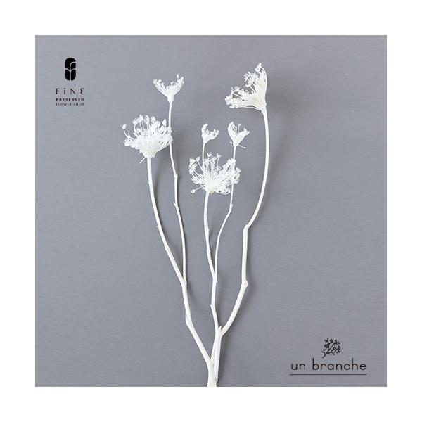 ナチュラルな色合いと質感を自在に楽しむ、ドライとプリザFiNEの花材やさん「un branche（アンブランシュ）」。シンプルインテリアに、ホワイトインテリア、北欧インテリアにそのまま飾って頂いたり、スワッグやリースなどハンドメイド花材とし...
