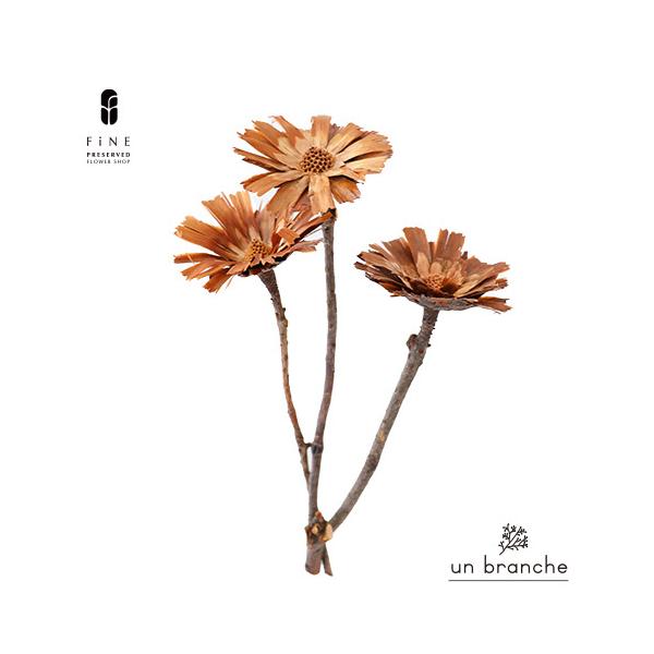 ナチュラルな色合いと質感を自在に楽しむ、ドライとプリザFiNEの花材やさん「un branche（アンブランシュ）」。シンプルインテリアに、ホワイトインテリア、北欧インテリアにそのまま飾って頂いたり、スワッグやリースなどハンドメイド花材とし...