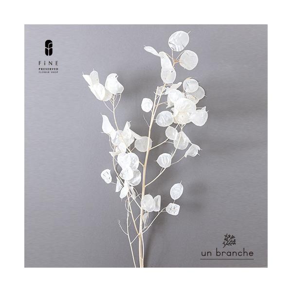 ナチュラルな色合いと質感を自在に楽しむ、ドライとプリザFiNEの花材やさん「un branche（アンブランシュ）」。シンプルインテリアに、ホワイトインテリア、北欧インテリアにそのまま飾って頂いたり、スワッグやリースなどハンドメイド花材とし...