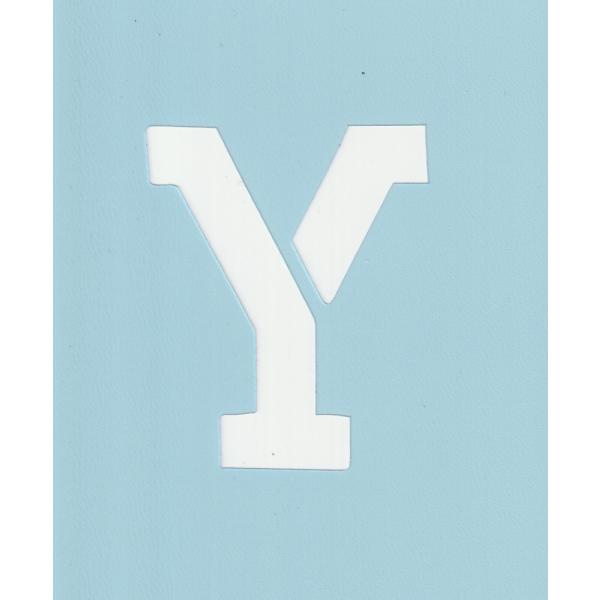 ☆ステンシル部分：縦60mm×横48mm☆0,2mm厚ですので、曲面でも使用できます。☆ペーパーではないので、拭いて何回も使用出来ます。☆使用後はすぐの絵具をふき取ってください。☆半透明ですので合わせやすい。☆お部屋を遊び心あふれる空間に☆...