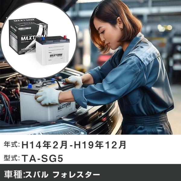 スバル フォレスター 【年式型式】H14年2月-H19年12月 TA-SG5 【仕様】2000cc/MT車・4WD/充電制御システム搭載車除く/寒冷地仕様車 適合参考 マックストーム MAXTORM SILVER MF95D23L