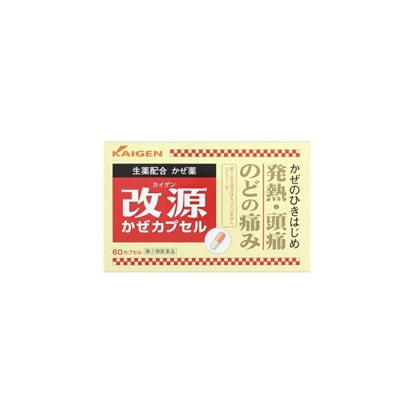 かぜのひきはじめののどの痛みや発熱、頭痛などの症状に効くかぜ薬です。かぜの諸症状に効く洋薬成分に加えて、3種類の生薬成分（カンゾウ末、ケイヒ末、ショウキョウ末）が自己治癒力を高め、体の回復を助けます。眠くなる成分（抗ヒスタミン剤）が入ってい...