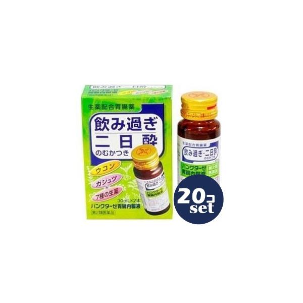 飲み過ぎ、二日酔のむかつきに！飲み過ぎ・食べ過ぎ・胃のむかつきなど、胃腸の調子が悪いと感じたら、パンクターゼ胃腸内服液をお飲み下さい。9種の健胃生薬が弱った胃腸を助けます。