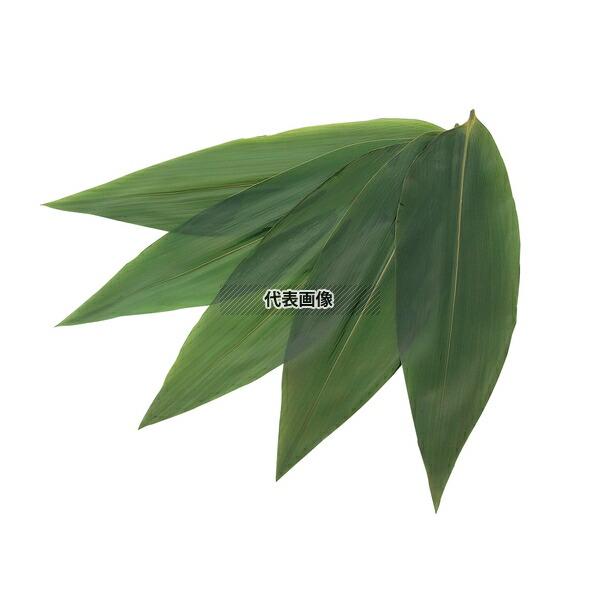 ■商品番号・規格：No.5282210※取り寄せ品の納期については、メーカー在庫有時の表記となっております。商品欠品等により、通常よりお時間がかかる場合がございます。予めご了承ください。