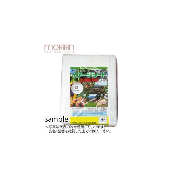 ■商品番号・規格：[IWA] IN8039※取り寄せ品の納期については、メーカー在庫有時の表記となっております。商品欠品等により、通常よりお時間がかかる場合がございます。予めご了承ください。