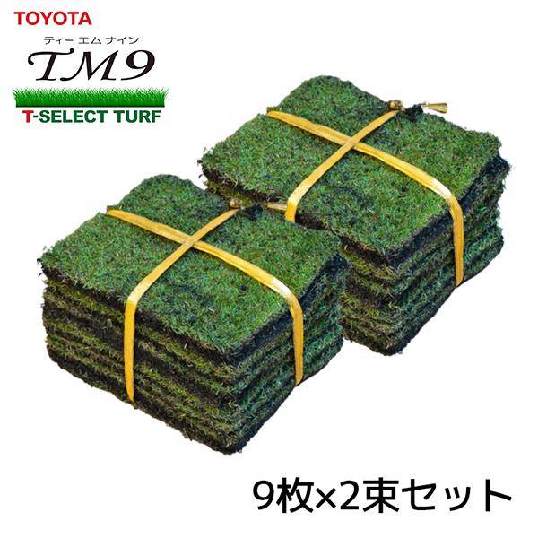 【2平米用 普通便】芝生 TM-9ティーエムナイン 2平米用 1ケース(2束)1束9枚入り 省管理型コウライシバ トヨタ TOYOTA 人工芝生  TM-9ガーデニング ベランダ 庭 ガーデン バルコニー 人工芝ロール  張り芝用 暖地型 ...