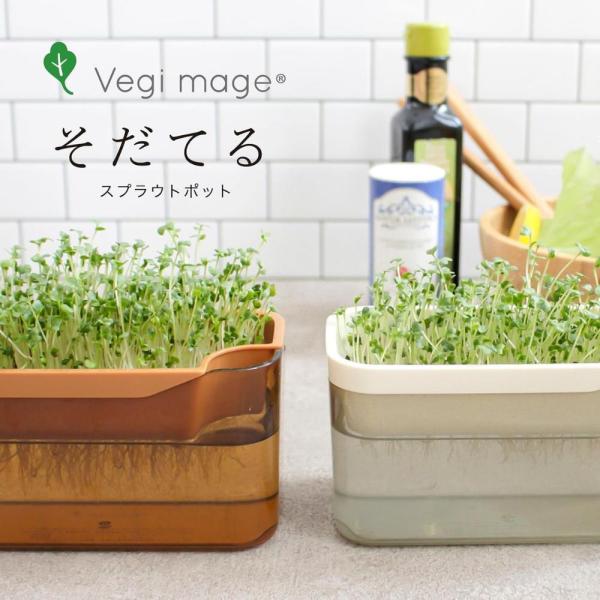 [関連word] 選べる ベジマジ そだてる ポット | スプラウトポット 水耕栽培 室内栽培 家庭菜園 簡単栽培 グリーンインテリア ベジマジ 栽培キット 水栽培 健康野菜 日本製 植物栽培 豆苗 再生栽培 ブロッコリー スプラウト 園芸...