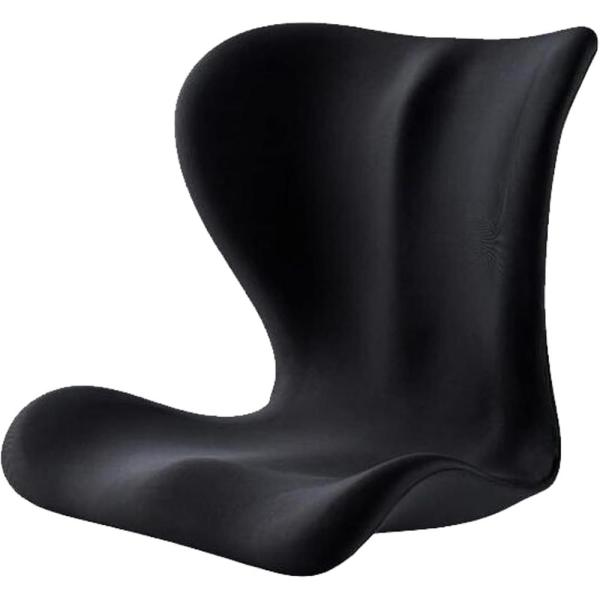 [関連word] 椅子 座り姿勢 姿勢サポート ブラック 耐荷重100kg ウレタン樹脂 中材 ポリプロピレン カバー ポリエステル シート 安定性 美しい姿勢 ハイエンドインテリア 居心地 良い座り心地 自然な姿勢 ケア商品 1人掛け 役...