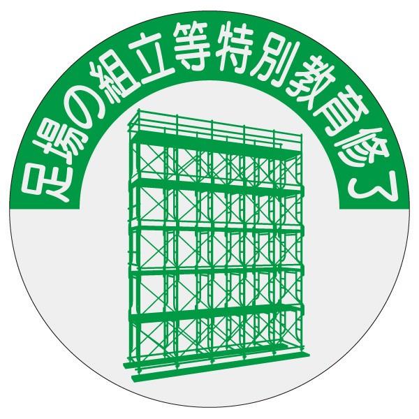 ■商品番号・規格：☆816-T※取り寄せ品の納期については、メーカー在庫有時の表記となっております。商品欠品等により、通常よりお時間がかかる場合がございます。予めご了承ください。