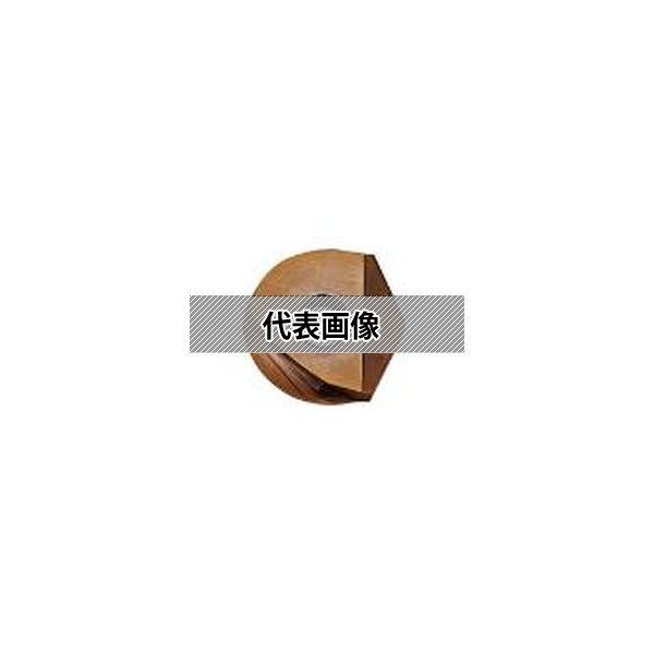 (株)ＭＯＬＤＩＮＯ カッタ用インサート  2個入 ZDFG080-ST ATH80D[関連キーワード]カッタ用インサート フライス工具 切削工具 モルディノ
