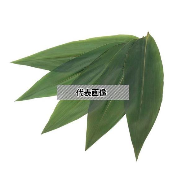 ■商品番号・規格：No.5282210※取り寄せ品の納期については、メーカー在庫有時の表記となっております。商品欠品等により、通常よりお時間がかかる場合がございます。予めご了承ください。