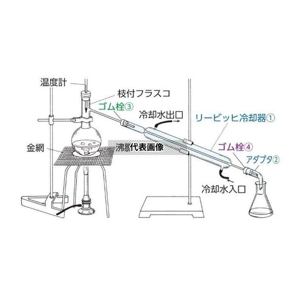 [関連word] ケニス 31310638  |