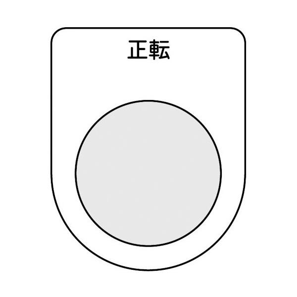 ■商品番号・規格：P25175P※取り寄せ品の納期については、メーカー在庫有時の表記となっております。商品欠品等により、通常よりお時間がかかる場合がございます。予めご了承ください。