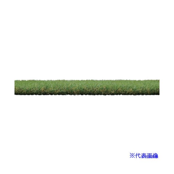 ■商品番号・規格：CT3011R※取り寄せ品の納期については、メーカー在庫有時の表記となっております。商品欠品等により、通常よりお時間がかかる場合がございます。予めご了承ください。