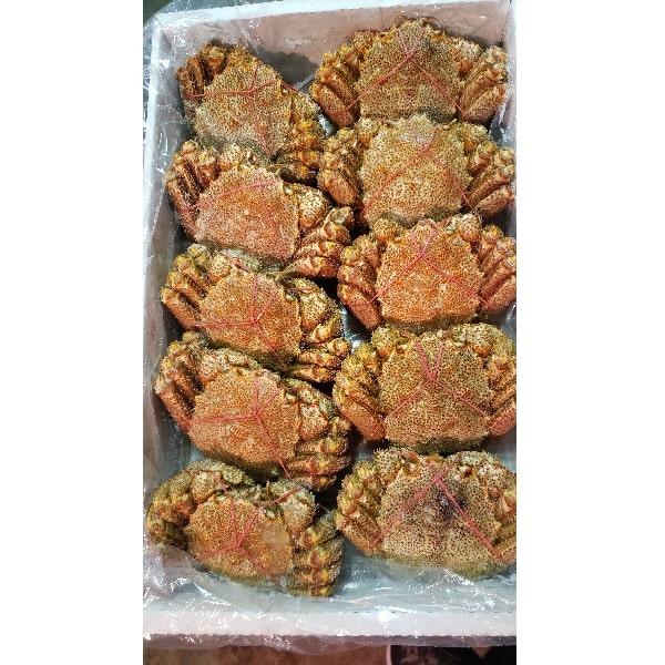 【発売日：2020年11月16日】北海道産の毛ガニが１０尾で４kg、１尾が約400gと良型の毛ガニをご用意いたしました。（冷凍時）成熟した堅蟹なので、身入りもしっかりです。(画像要確認）（脚折れが混ざる場合があります。あらかじめご承知おきく...