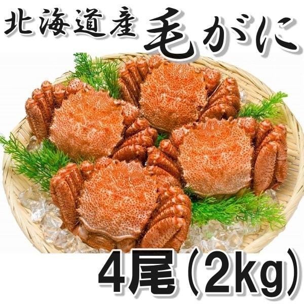 【発売日：2020年11月16日】北海道産の毛ガニが４尾で2kg、１尾が約500gと良型の毛ガニをご用意いたしました。（冷凍時）成熟した堅蟹なので、身入りもしっかりです。(画像要確認）（脚折れですが身入りしっかりしてます）カニミソも入ってま...