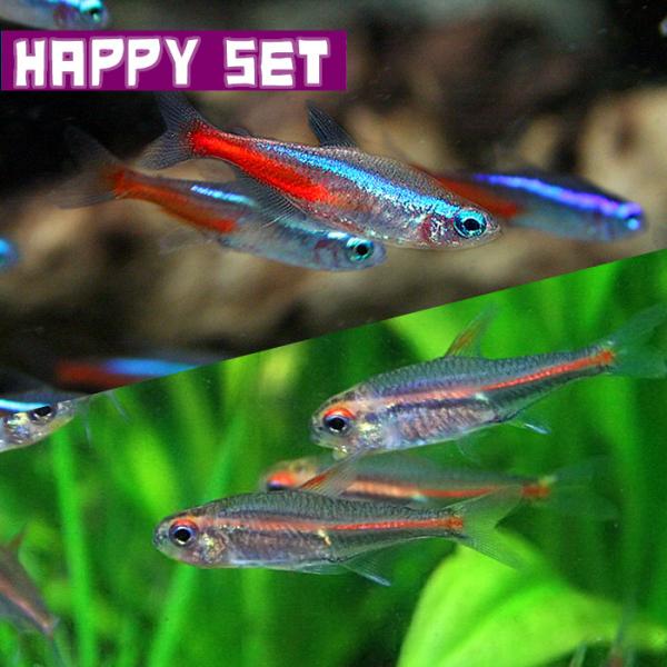 ハッピーセット