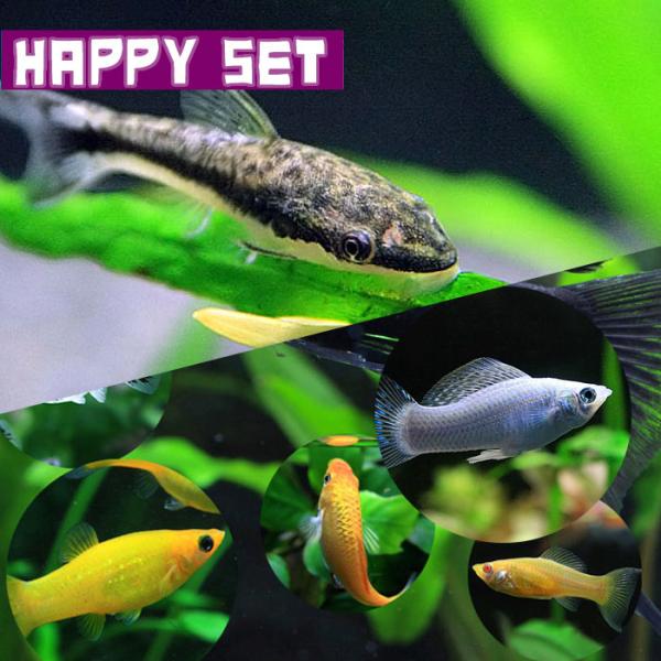 ハッピーセット