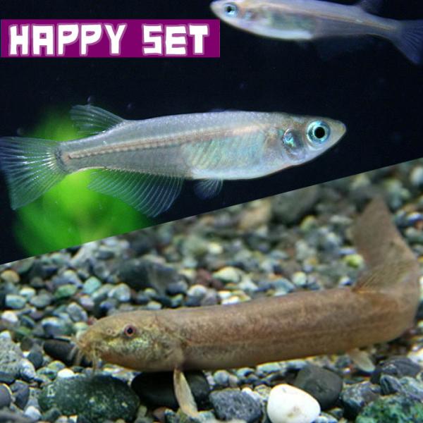 ハッピーセット