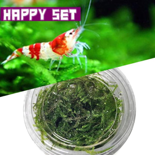 ハッピーセット