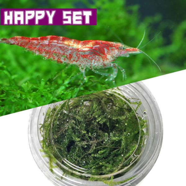 ハッピーセット