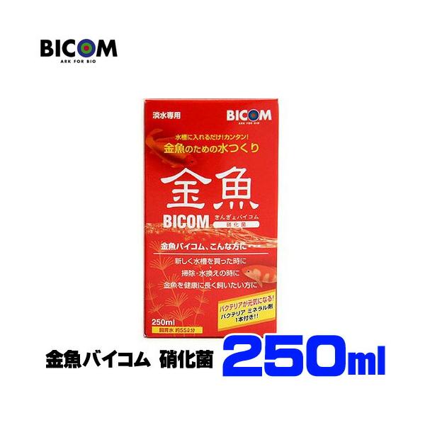 金魚を飼育していると、残り餌や糞尿から金魚にとって有害なアンモニアという物質が出てきてしまいます。これを硝化菌というバクテリアで分解し、金魚の住む水をきれいにします。