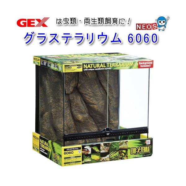 『特長』爬虫類・両性類飼育に最適なガラス製テラリウムケージです。ヨーロッパ仕様の機能的でデザイン性に優れた爬虫類・両生類飼育に理想的なケージです。日常のメンテナンスやエサやりがしやすい前面開閉式ドア。付属のバックグラウンドがリアルの岩肌を再...