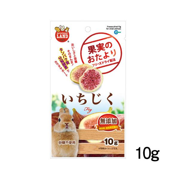 『特長』いちじくに含まれるタンパク質分解酵素が健康な胃腸の働きを助けます。保存料・着色料無添加、砂糖不使用で仕上げました。手から与えやすいサイズのコミュニケーションおやつです。【フリーズドライ製法】 お腹をこわしやすい小動物にも水の分摂りす...