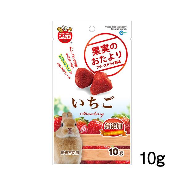 『特長』いちごに含まれるビタミンC が健康なふわふわ毛並みを保ちます。保存料・着色料無添加、砂糖不使用なので安心・安全。手から与えやすいサイズのコミュニケーションおやつです。【フリーズドライ製法】 お腹をこわしやすい小動物にも水の分摂りすぎ...