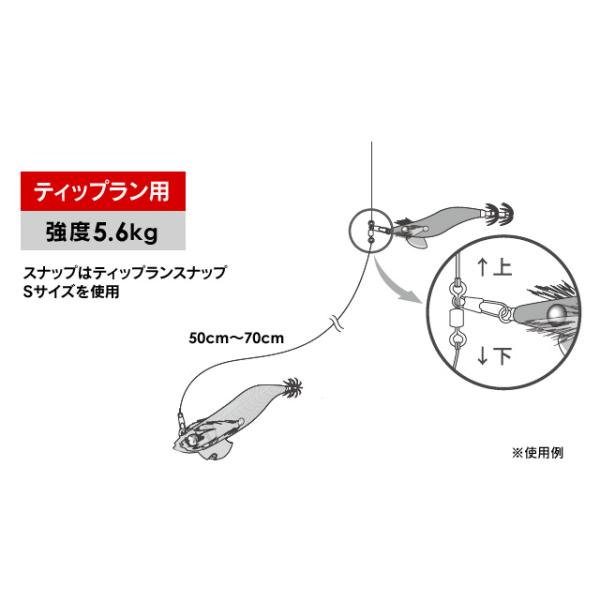 スナップに直接、エギやスッテを取り付けてください。スナップは小さなアイでも通しやすいティップランスナップSを使用。スイベルの下側のリーダーは上側のリーダーより細くすることをオススメします。強度：5.6kg