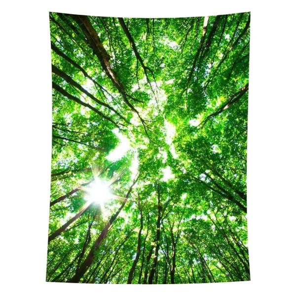 サイズ：約150×200cmさっと広げてはるだけ！しまうときも畳んでコンパクトに！部屋の模様替えや、WEB会議、リモート/オンラインの背景にも。室内の気分転換にも最適！ヨガや瞑想にも。■目にやさしいグリーンの布！ちょっとしたカーテン等に加工...