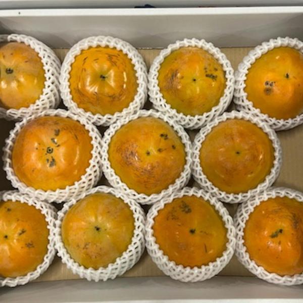 サクサク食感に強い甘み本場熊本産もしくは柿の名産地福岡産です1箱約5キロ 大容量バージョンです贈り物にも最適です