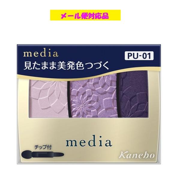 見たまま美発色つづく　グラデアイシャドウ美しい微粒子パールのつやと３色のグラデーション効果で上品な明るい目もとに。しっとりやわらかいパウダーがフィットして、見たままの美発色がつづく、グラデカラーアイシャドウです。繊細な輝きでくすみをカバーす...