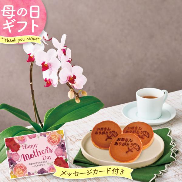 華やかで存在感のある白と赤のコントラストが美しいミディ胡蝶蘭「リトルジェム」に「お母さんありがとう」の焼き印入りのどら焼きをセットしました