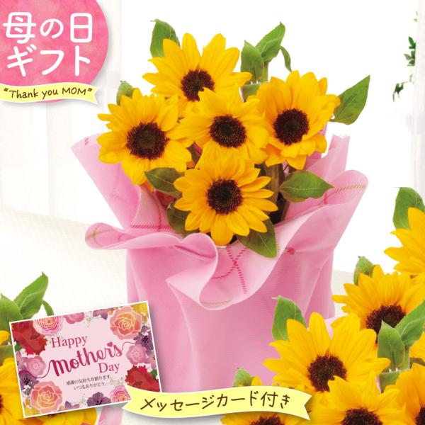 母の日に太陽のように明るい元気になるひまわりはいかがでしょうか。ひまわり４.５号鉢、どら焼き×５幅（単位：cm）13.5高さ（単位：cm）25