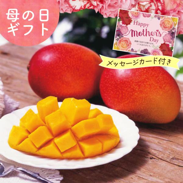 温室で通常よりも早く栽培したマンゴーが完熟して自然に落下するまでじっと待ち収穫した甘いマンゴーです。マンゴー約２８０ｇ×１