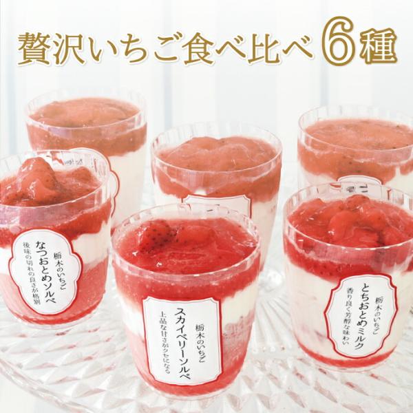 [栃木県産品 宇都宮市]絶品ジェラート6種　ギフトやご褒美に