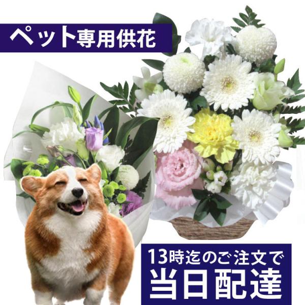 きょうつく対応→13時までの注文で当日お届け可能です。全国の提携お花屋さん（イーフローラ）からお届けします。当社提携の全国のお花屋さんから直接手渡しでのお届けのため提携するお花屋さんの無いエリアへのお届けはご注文をお受けできません。本商品は...
