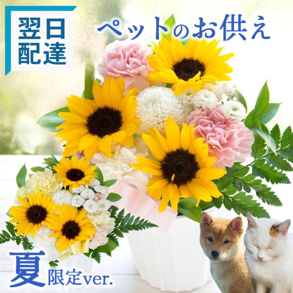 ペットのお悔やみやお供えに、心を癒す優しい色合いのアレンジメント。9月1日までのお届け限定商品です。
