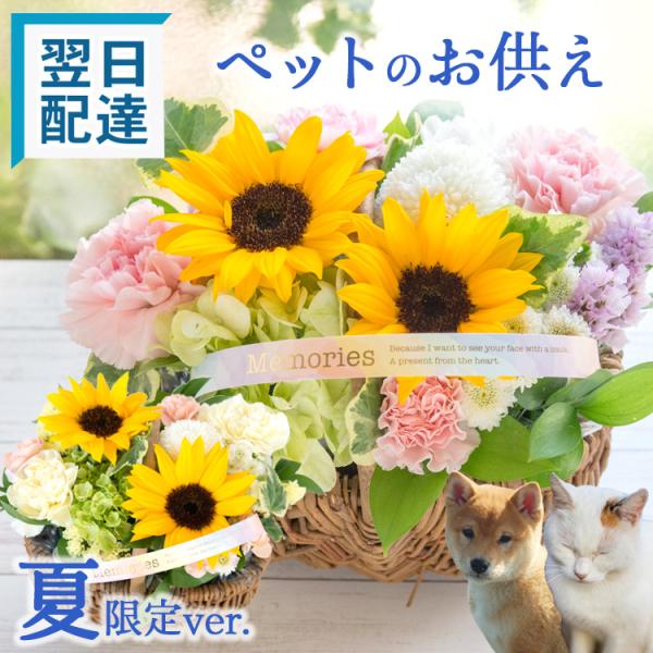 ペットのお悔やみやお供えに、心を癒す優しい色合いのアレンジメント。9月1日までのお届け限定商品です。