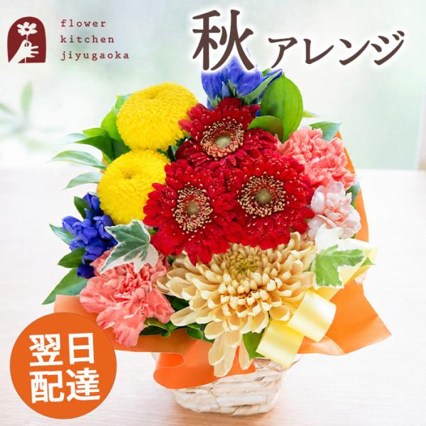 【発売日：2026年08月21日】11月末までのお届け限定商品です。送料無料。あすつく対応。【商品サイズ】幅約19cm×高さ約25cm【注意事項】北海道・沖縄・離島へのお届けは出来ません。【ご用途】ギフト プレゼント 贈り物誕生日 記念日 ...