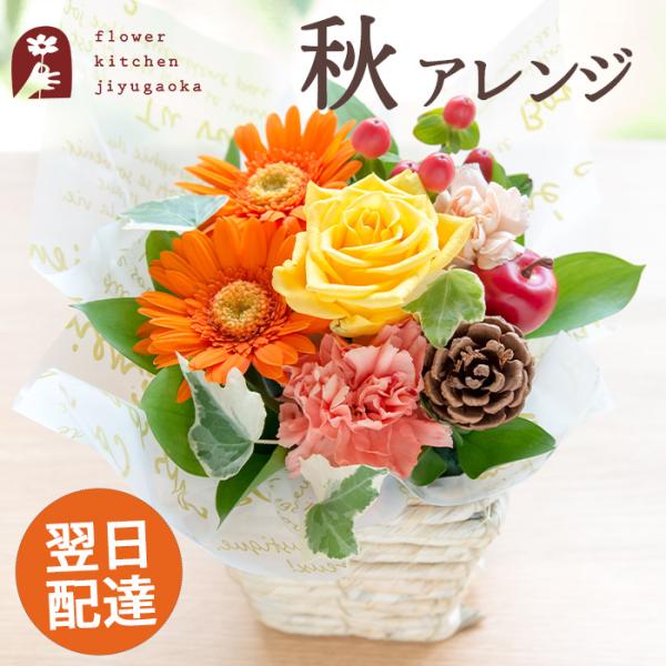 【発売日：2026年08月21日】11月末までのお届け限定商品です。ガーベラをメインに秋色のお花でふんわり仕上げたアレンジメント。【使用花材】ガーベラ、季節の花・グリーン【商品サイズ】幅約20cm 高さ約20cm ※写真とは違う器の場合がご...
