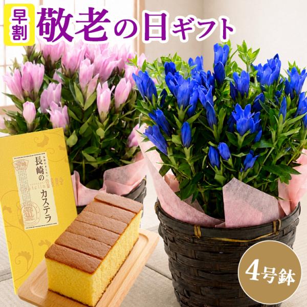 【発売日：2026年07月31日】当店通常価格3680円9月7日まで早割キャンペーン中！注文数に応じて順次値上がりしていきます。早めの購入がお得です。【お届け日について】9月18-21日の期間でお届けします。配送会社の指定や日時指定は対応で...