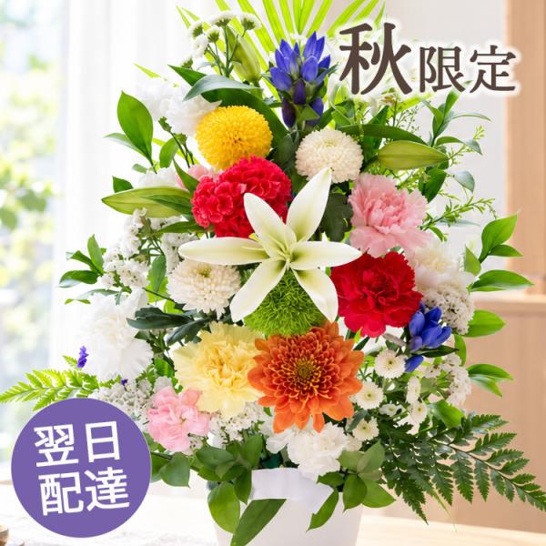 【発売日：2026年09月28日】11月末までのお届け限定商品です。【商品サイズ】※花材によってサイズが変わることがございます。幅約40cm 高さ約50cm【注意事項】季節限定商品のため、お届けは11月30日までとなります。北海道・沖縄・離...