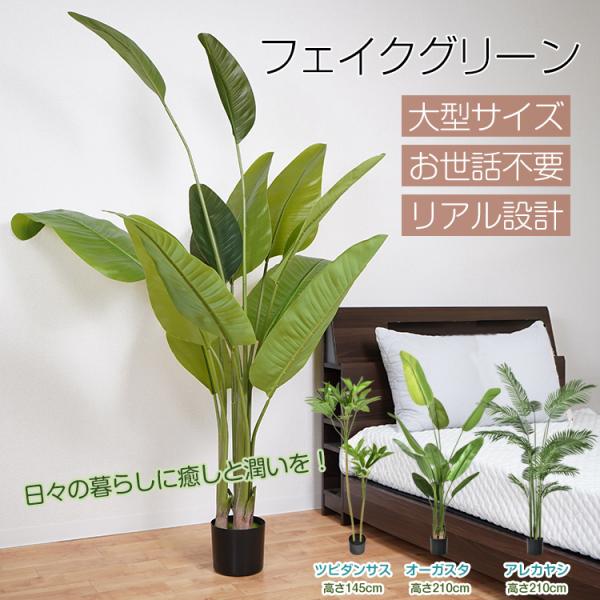 【商品内容】：フェイクグリーン【鉢サイズ(約)】：直径16.5cm×高さ14.5cm《A・B》/直径15cm×高さ12.5cm《C》【材質】：ポリエチレン/ポリウレタン樹脂●アレカヤシ【サイズ】：(約)210cm【重量】：(約)4.55kg...