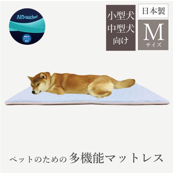 【正規販売店】【送料無料】■自社品番：OSIN-ML-9006-M■サイズ（約）：50×70×H4cm■素材・成分：中材：エアーラッセルカバー：透湿防水キルト生地、ハニカムメッシュ組成：・エアーラッセル、ハニカムメッシュ、ポリエステル100...