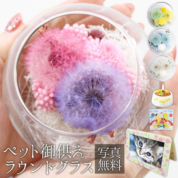 送料無料 プリザーブドフラワー クリアケース付き 花瓶いらず ギフト 生花よりも 引き出物出産祝 誕生日 結婚祝 お歳暮 贈り物 かわいい おしゃれ ギフト お祝い 花 アレンジ 写真印刷無料 プリザ プリザードフラワー 写真プリント 写真...